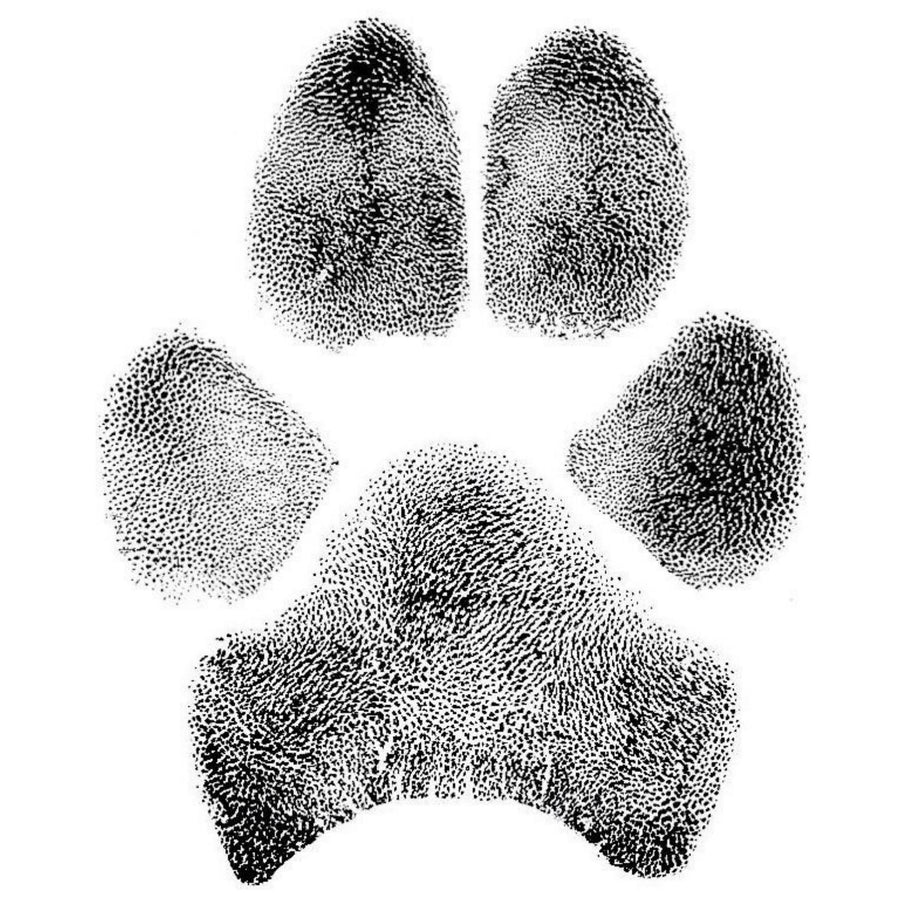 Ink Paw Print | Patch & Purr – Patch & Purr Pet Cremations
